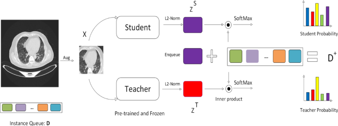 Explainable self-supervised learning for medical image diagnosis based on DINO V2 model and ...