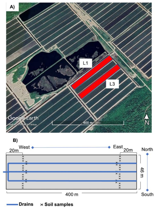 Soil moisture gradients shape microbial communities and influence ...