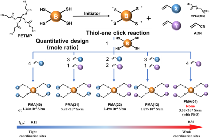 Tuning of dynamic solvation structures via click chemistry for PEO ...