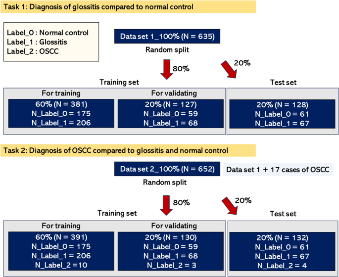 DCNN models with post-hoc interpretability for the automated detection ...