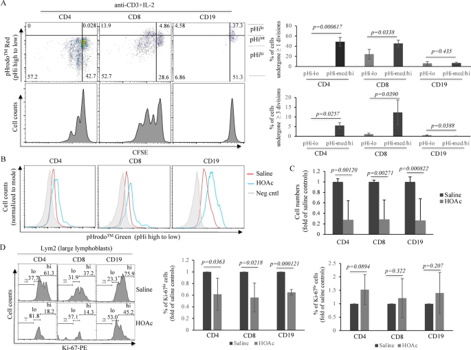 Intracellular pH links energy metabolism to lymphocyte death and ...