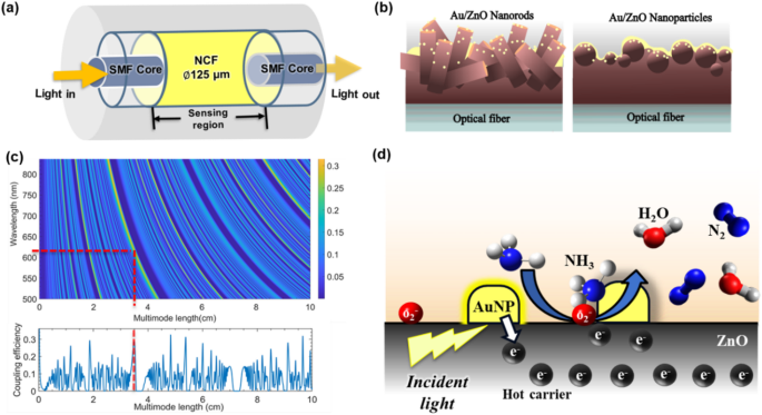 Gold-coated ZnO nanostructures on no-core optical fiber for ammonia ...