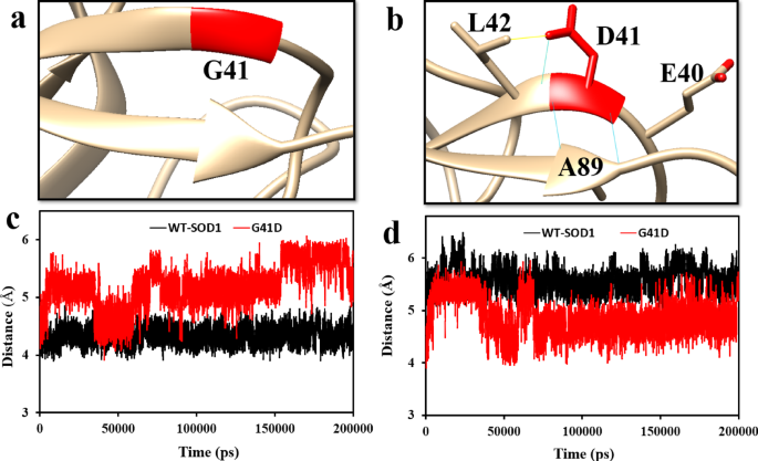 Uncovering the protein aggregation process through effect of G41D mutant SOD1 charge variation ...