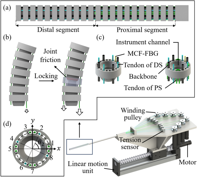 Design and control of a continuum robot with switchable stiffness based on ball-and-socket ...