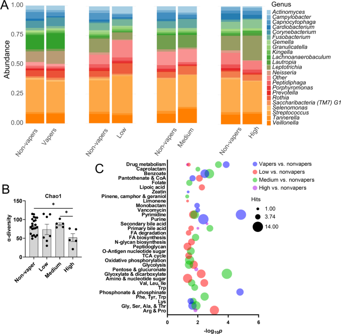 The impact of vaping behavior on functional changes within the ...