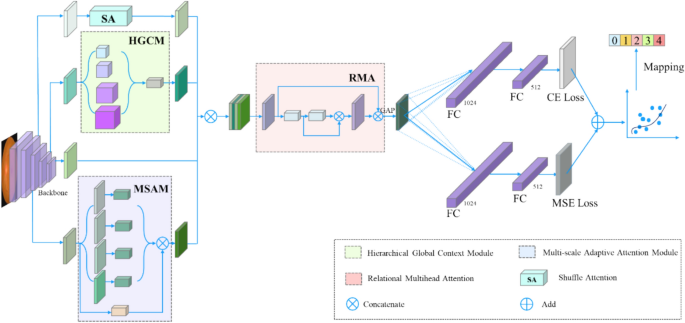 MAFNet: A novel adaptive multi-scale model for fine-grained grading of ...