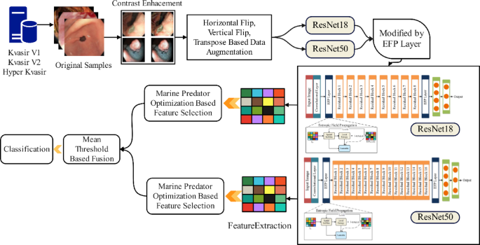 Gastrointestinal tract disease classification from wireless capsule ...