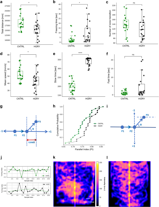 Social maintenance masks induced aggression in zebrafish | Scientific ...