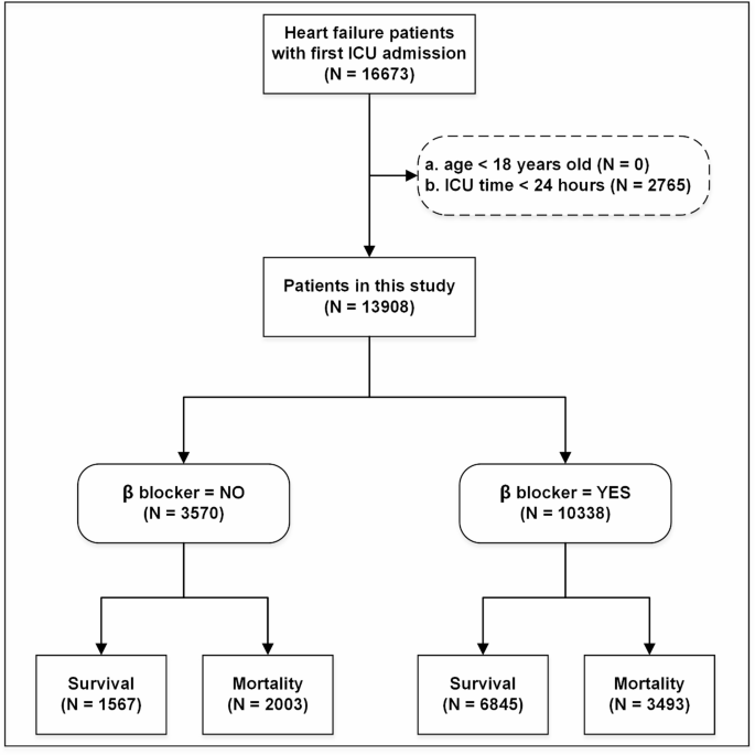 Beta blockers linked to reduced 1-Year mortality in critically ill ...
