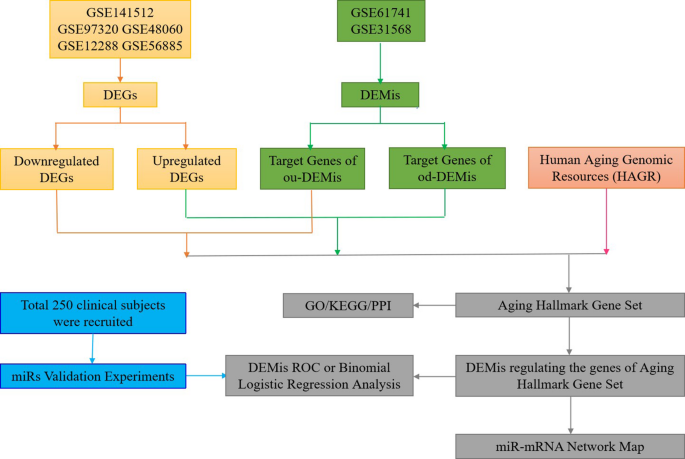 Bioinformatic analyses and validated experiments reveal an aging ...