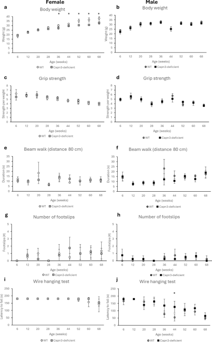 Age, muscle, and gender specific characterization of muscle ...
