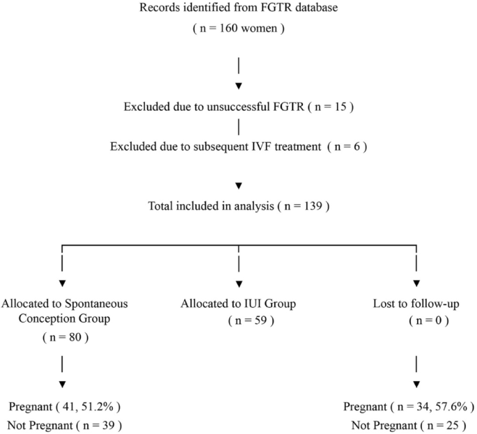 Pregnancy outcomes following fluoroscopy-guided tubal recanalization: a ...