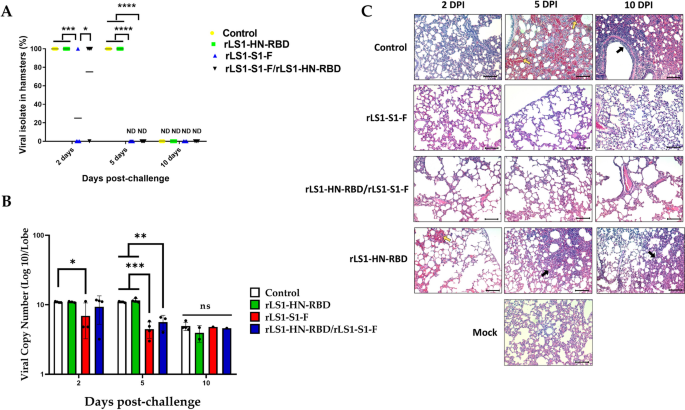 Editorial Expression of Concern: Intranasal vaccination of hamsters ...