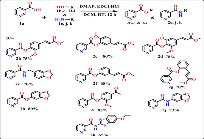 Discovery of new pyridine 3-carboxylic acid-based pharmacophores as ...