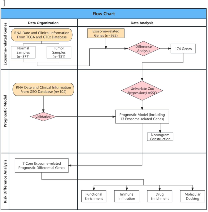 Construction of a prognostic risk model for acute myeloid leukemia ...