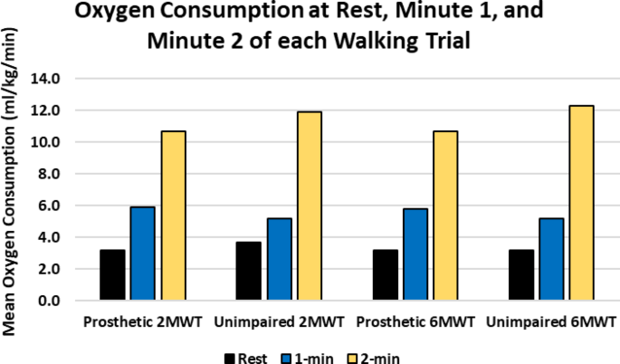 Oxygen uptake kinetics differentiates two from six minute walk tests in ...