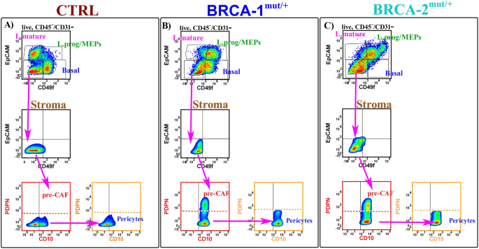 Healthy BRCA1/2 mutation carriers exhibit a pre-CAF signature and ...