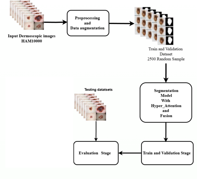 H-fusion SEG: dual-branch hyper-attention fusion network with SAM ...