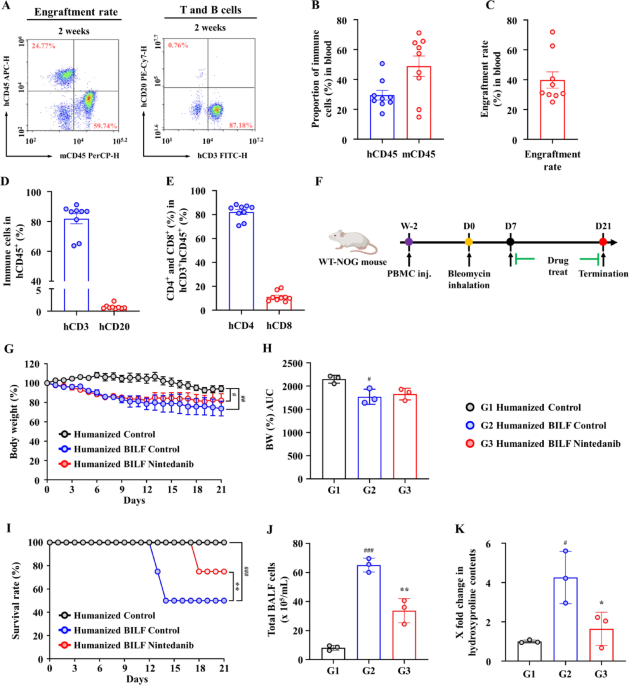Establishment of a humanized mouse model of pulmonary fibrosis for ...