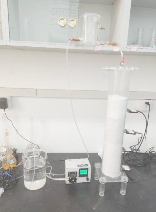 Numerical simulation of water and salt transport during the re ...