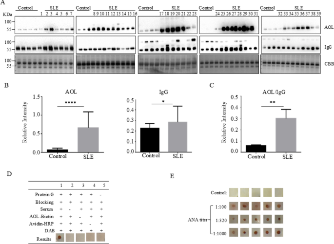 Author Correction: A novel immunochromatographic strips assay for rapid ...