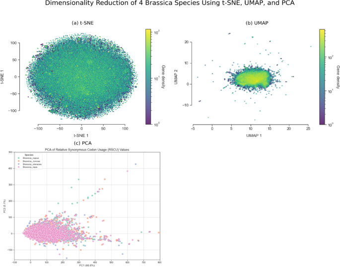 Deep learning decodes species-specific codon usage signatures in ...