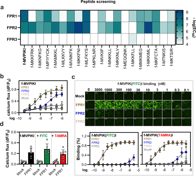 Assessing the potential of bacterial signal peptides for ...