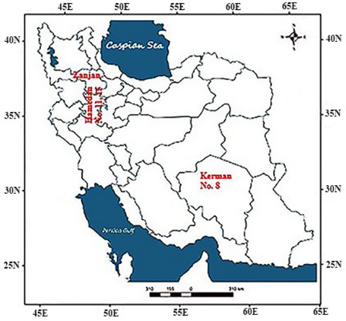 Adaptability of parental populations and selected garlic (Allium ...