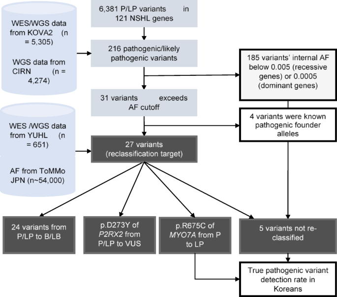 Leveraging underrepresented population data improves interpretation of ...