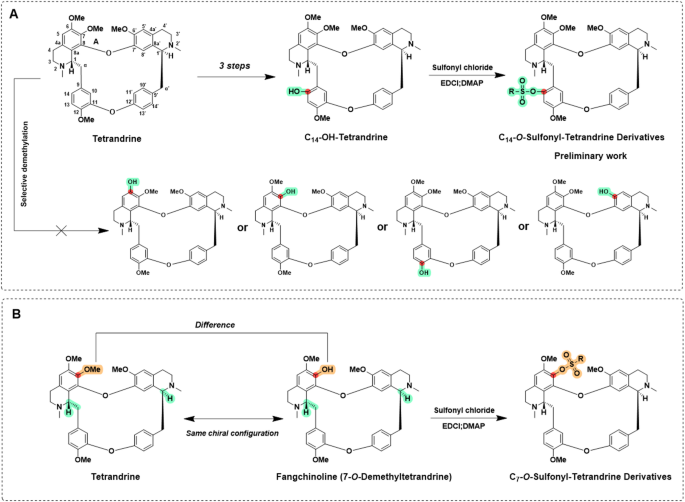Investigating C7 modified tetrandrine derivatives for synthesis anti ...