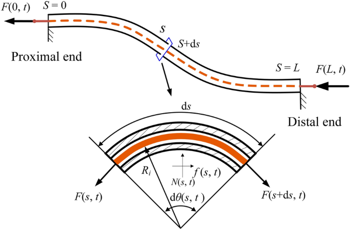Modeling and compensation control of a single tendon-sheath actuated ...