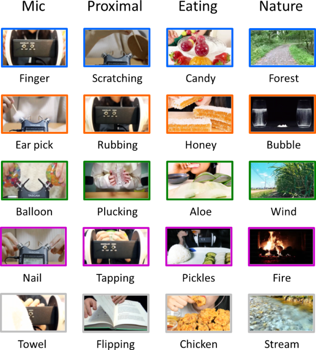 Affective touch sensitivity shapes tingling intensity in autonomous ...