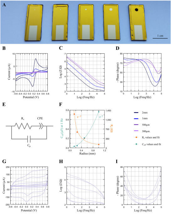 Electropolymerised PEDOT:Polydopamine enables high-performance ...