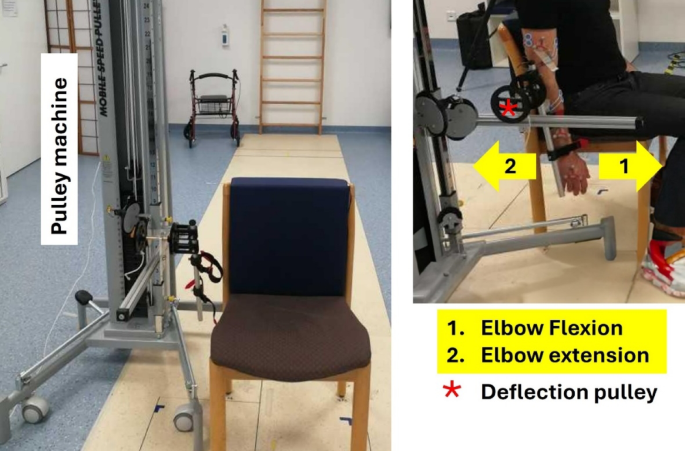 Age-related differences in muscular coordination while performing elbow ...