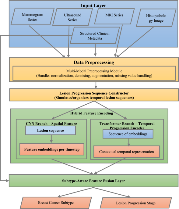 TransBreastNet a CNN transformer hybrid deep learning framework for ...