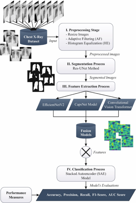 An efficient deep learning-based morphology aware hierarchical mixture of features for ...