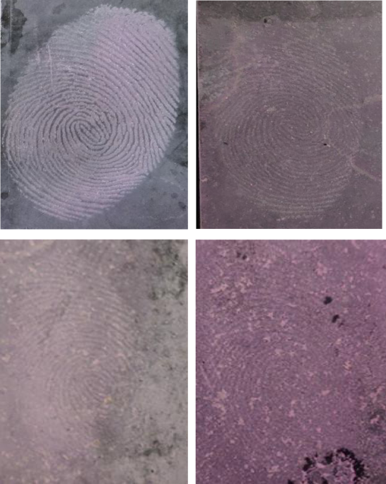 Latent fingerprint recovery on submerged non-porous surfaces using ...