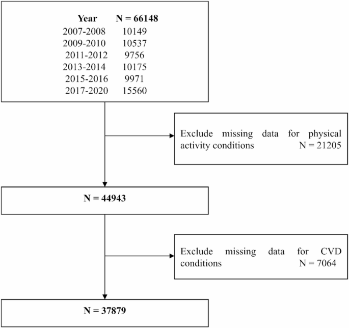 Association between physical activity domains and cardiovascular diseases among US adults ...