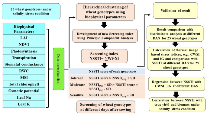 Characterizing and screening of wheat genotypes under salinity stress ...