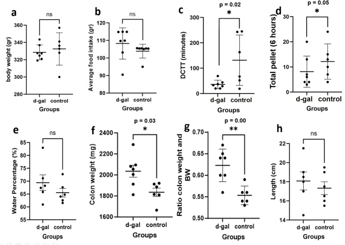 Inflammatory and morphological changes in the colon reflect early aging ...
