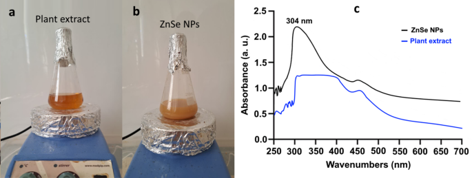 Bio-assessments of the antibiofilm, antioxidant, and plasmid inhibitory ...