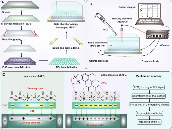 Highly sensitive field-effect transistor sensor based on ZnO/TiO2 for ...