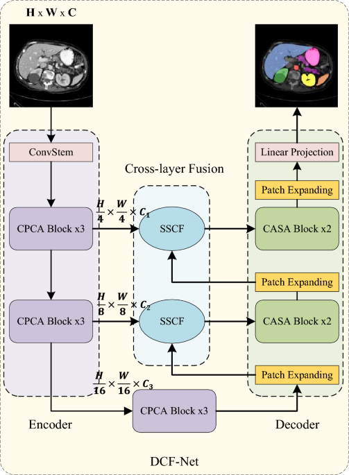 A dual attention and cross layer fusion network with a hybrid CNN and ...
