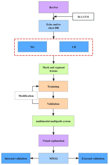 A multimodal multipath AI system for assessing PAH after VSD correction ...