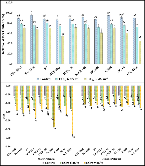 Maintaining nitrogen balance under salt stress through enhanced nodule ...
