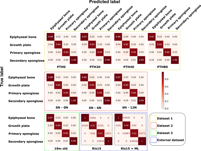 A deep learning-based framework for standardized analysis of trabecular ...