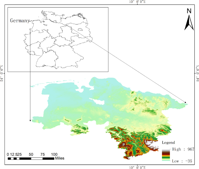 Multi-branch and multi-label tree species classification using deep learning for UAV aerial ...