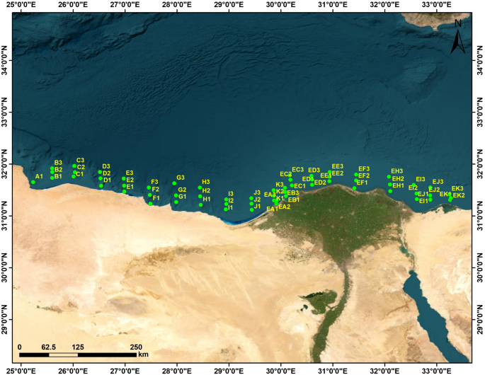 Chroococcus turigidus, a novel cyanobacterial source for l-sparaginase ...