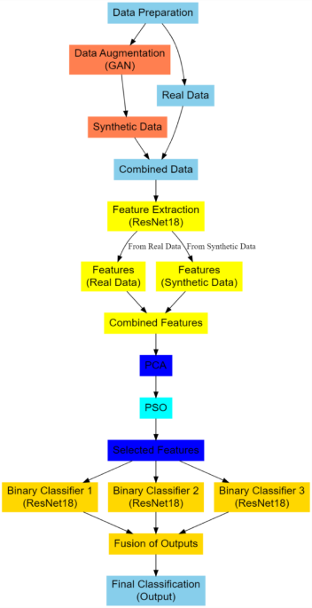 Enhanced brain tumor classification framework using deep learning ...