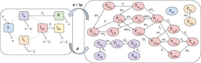 Considering the effects of pair formation dynamics on mpox and HIV co ...